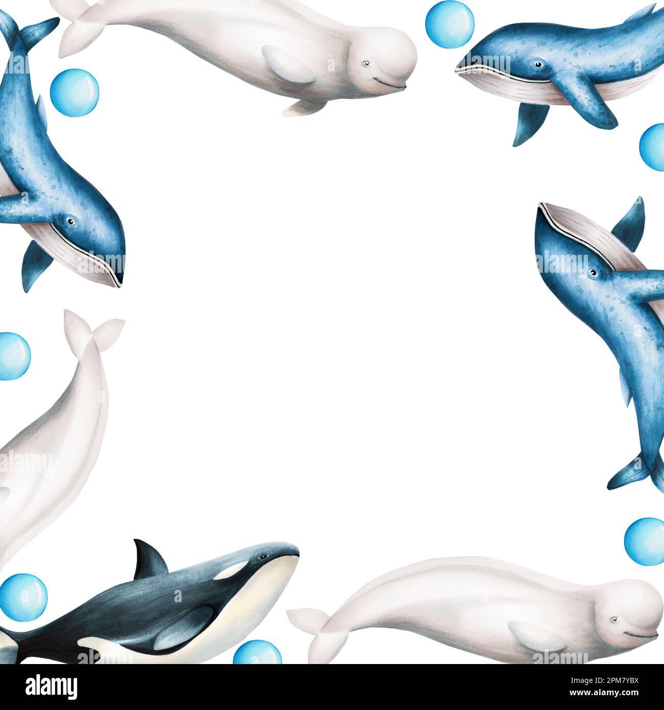 Watercolor frame with beluga, blue whale and killer whale isolated on ...