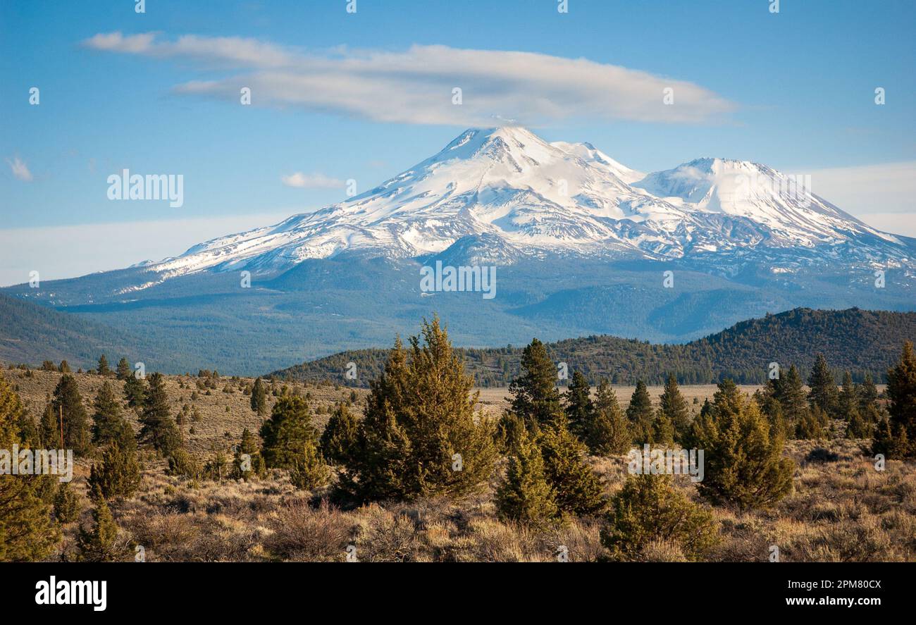 Shasta-Trinity National Forest in California Stock Photo - Alamy