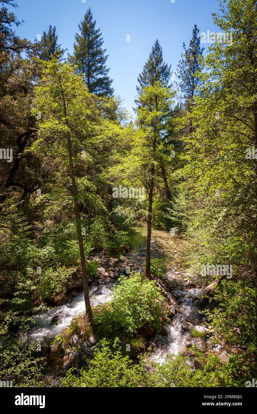 Whiskeytown-Shasta-Trinity National Recreation Area in California Stock ...
