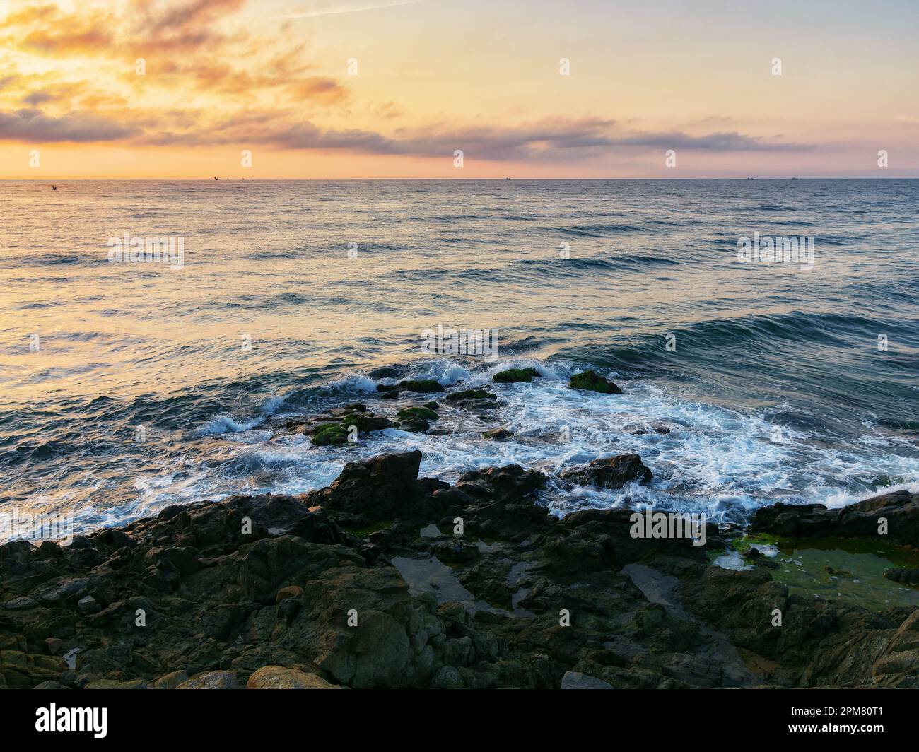 Black sea coast panoramic view hi-res stock photography and images - Alamy