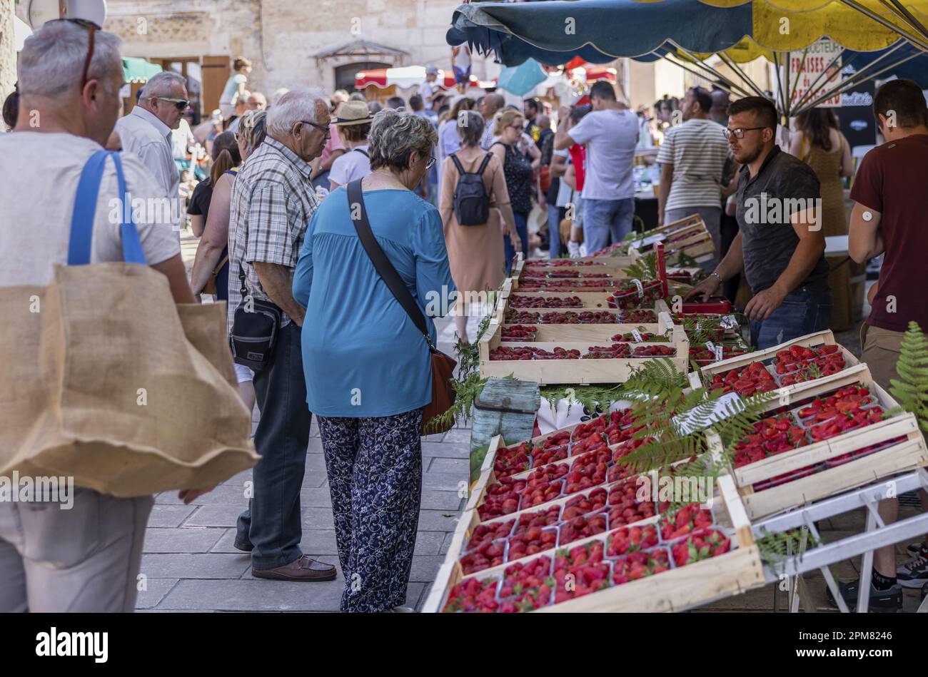 France, Dordogne, White Perigord, Périgueux, town of Vergt, Vergt ...