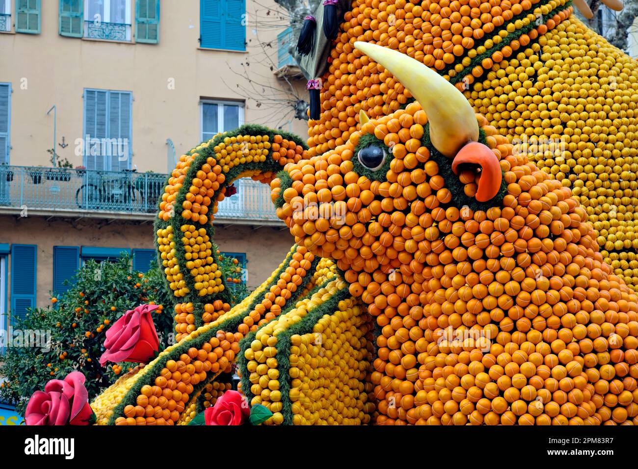 France, Alpes Maritimes, Menton, gardens Bioves, Fete du Citron, citrus ...
