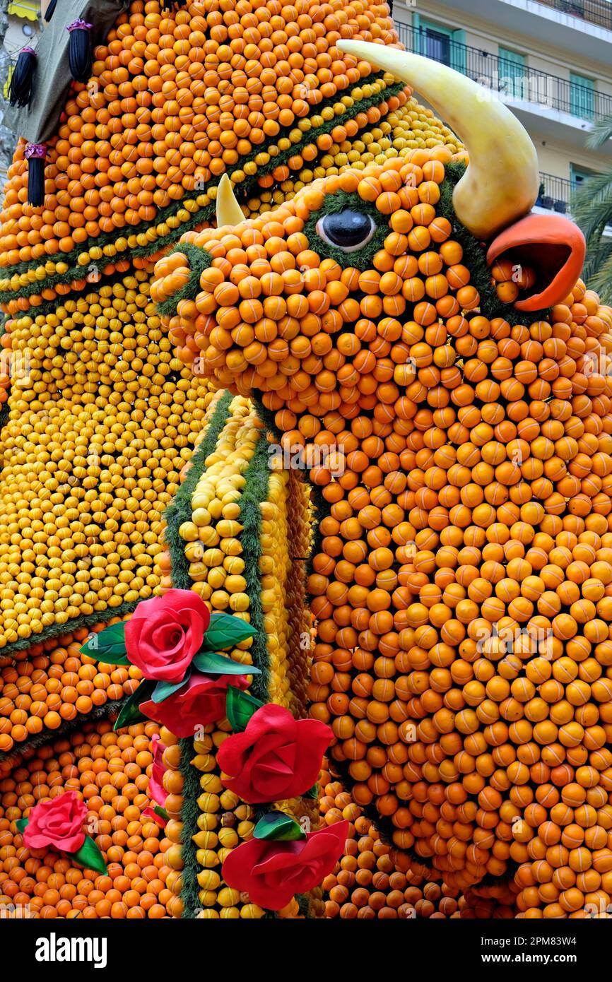 France, Alpes Maritimes, Menton, gardens Bioves, Fete du Citron, citrus ...