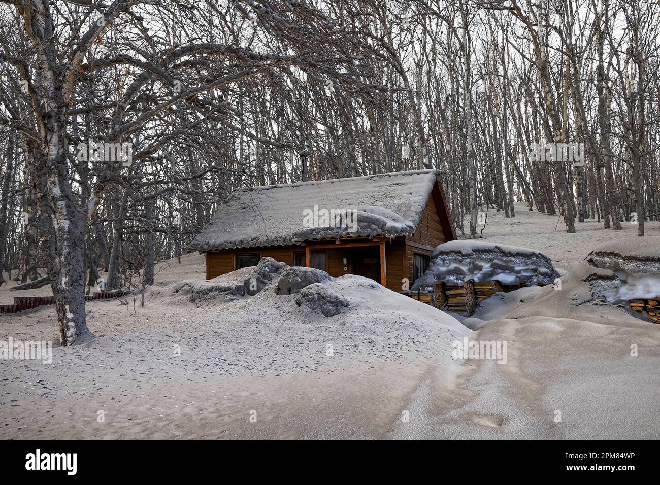 Volcanic ash covers the ground and houses after the Shiveluch volcano ...