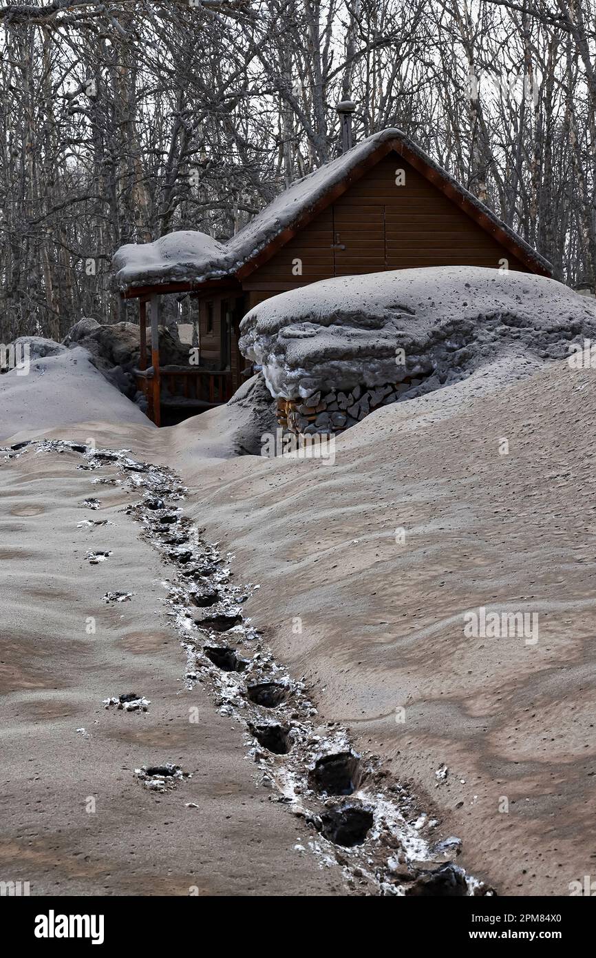 Volcanic ash covers the ground and houses after the Shiveluch volcano ...