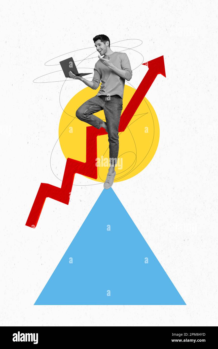 Vertical photo template financial pyramid investment tool business ...