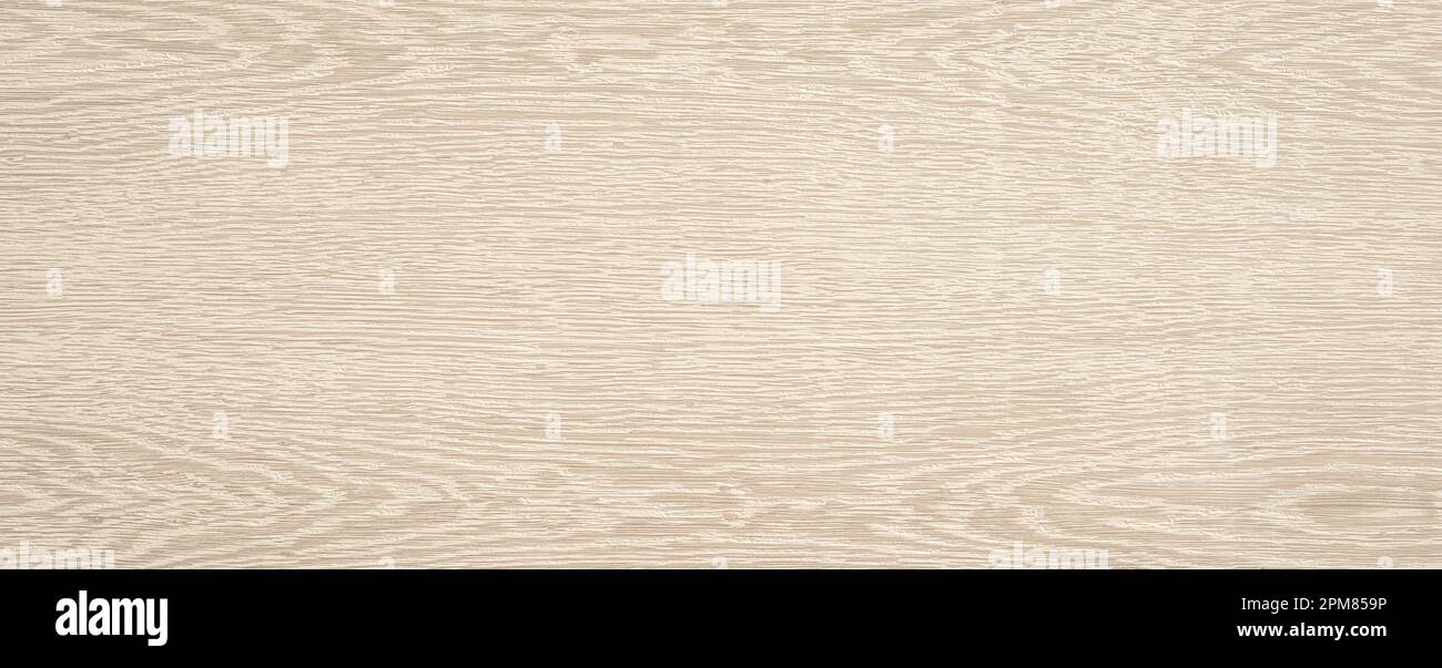 Shabby chic background. White or light milky paint on oak wood texture ...