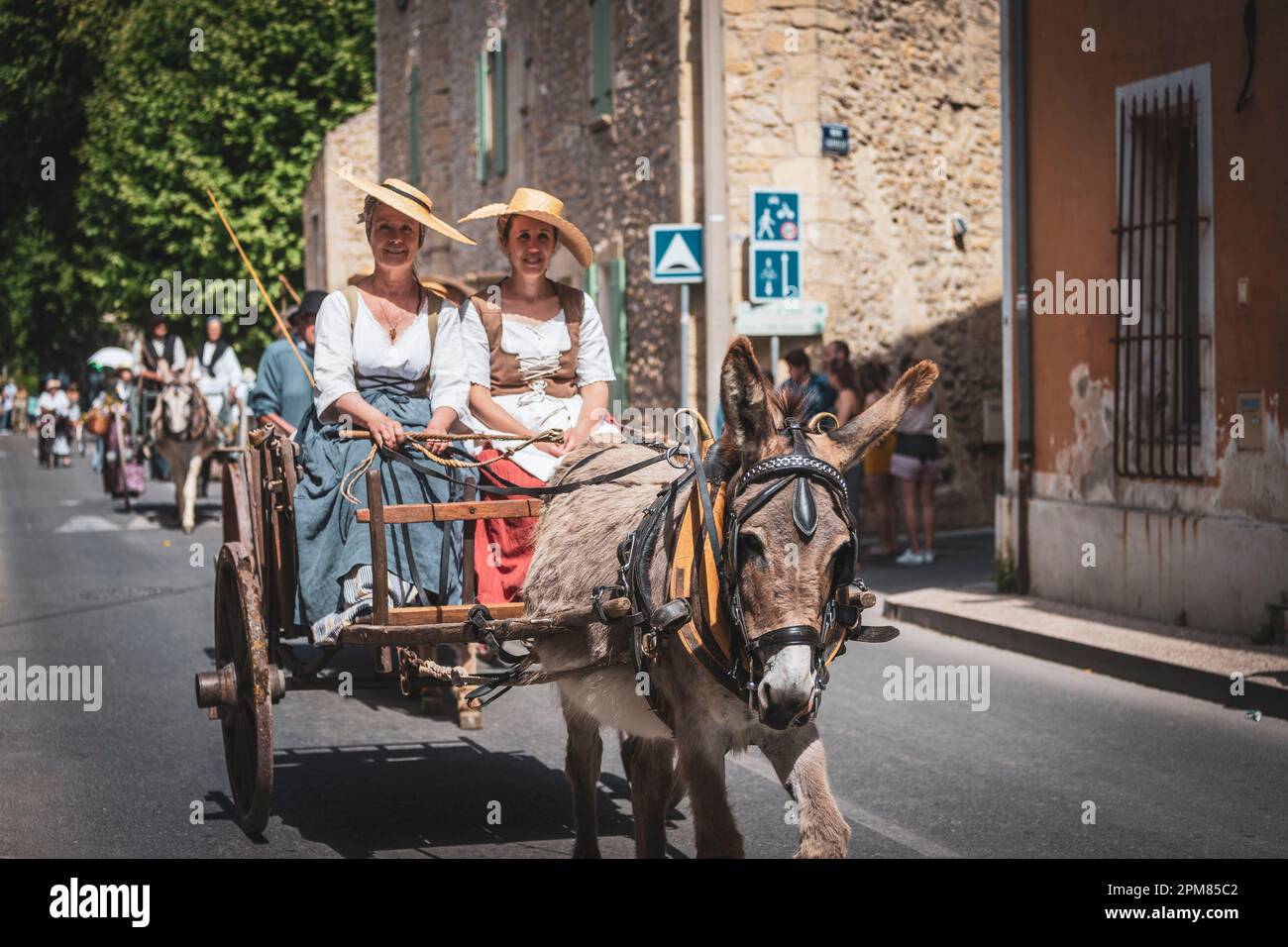 France, Bouches-du-Rhône, Pelissanne, Fête de la Transhumance, folk ...