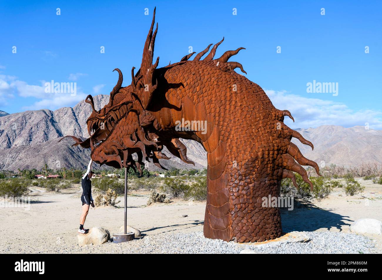 United States, California, Greater Palm Springss region, Coachella ...