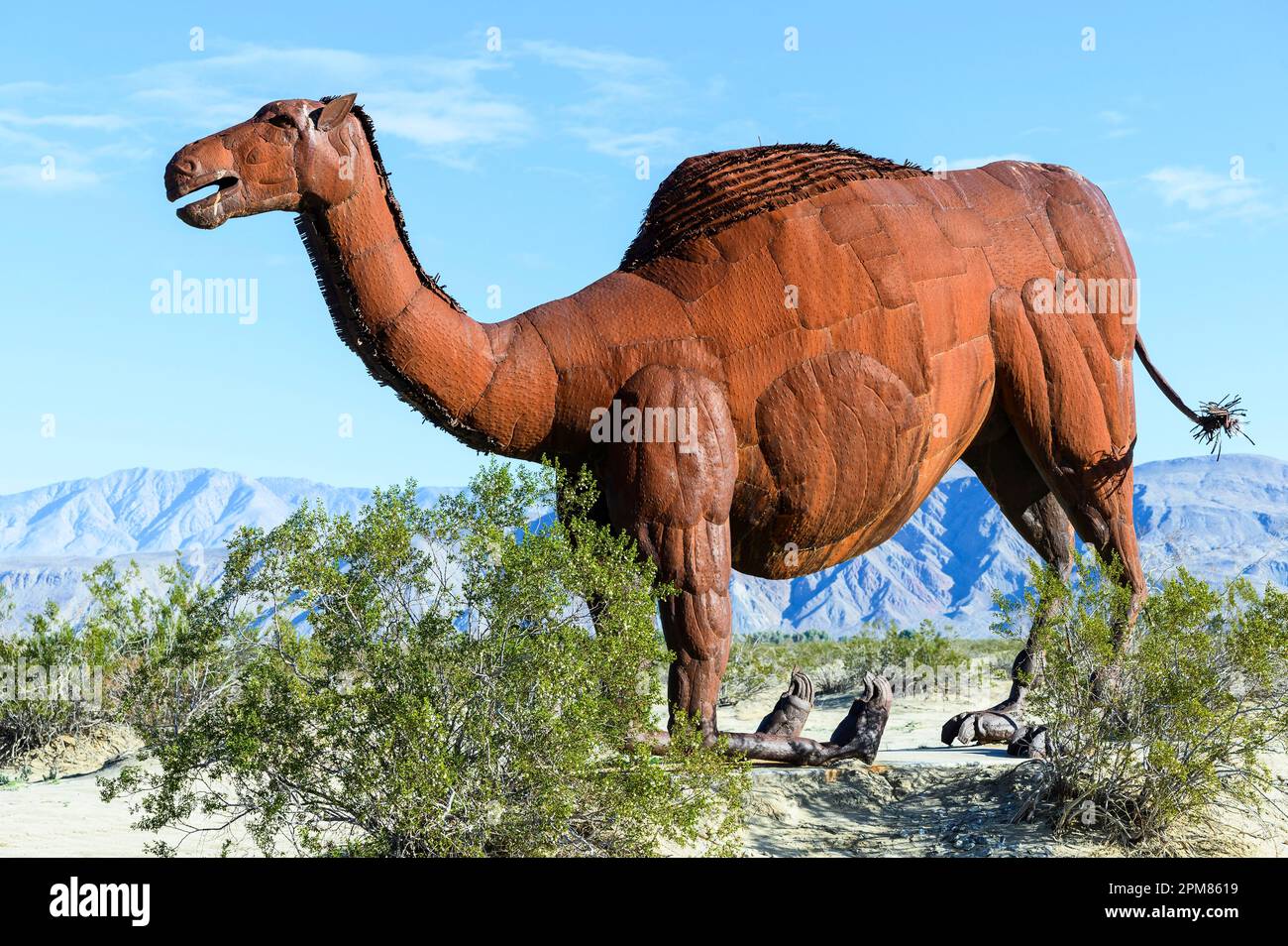 United States, California, Greater Palm Springs region, Coachella ...
