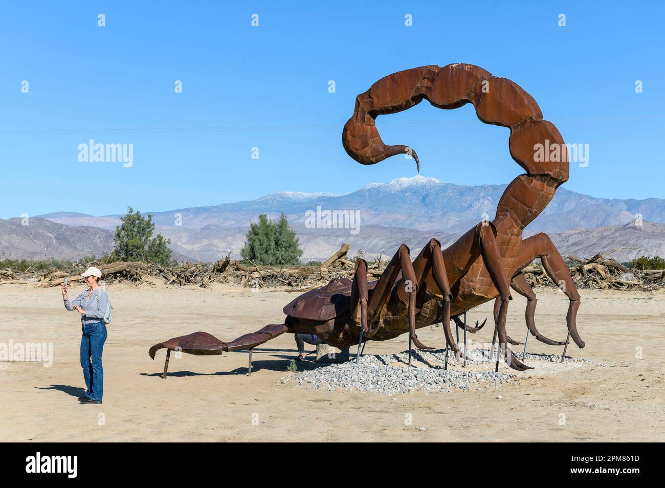 United States, California, Greater Palm Springss region, Coachella ...