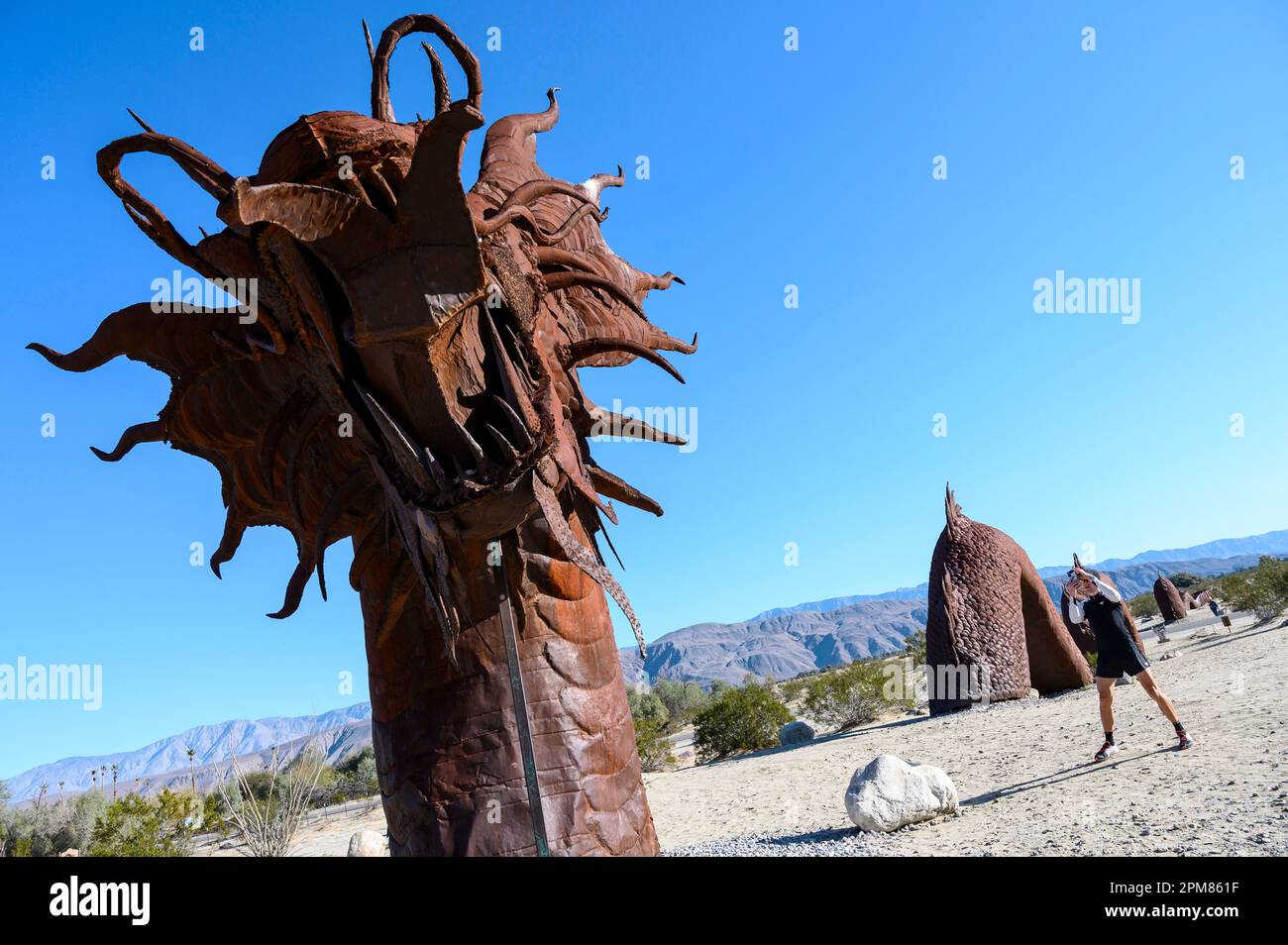 United States, California, Greater Palm Springs region, Coachella ...