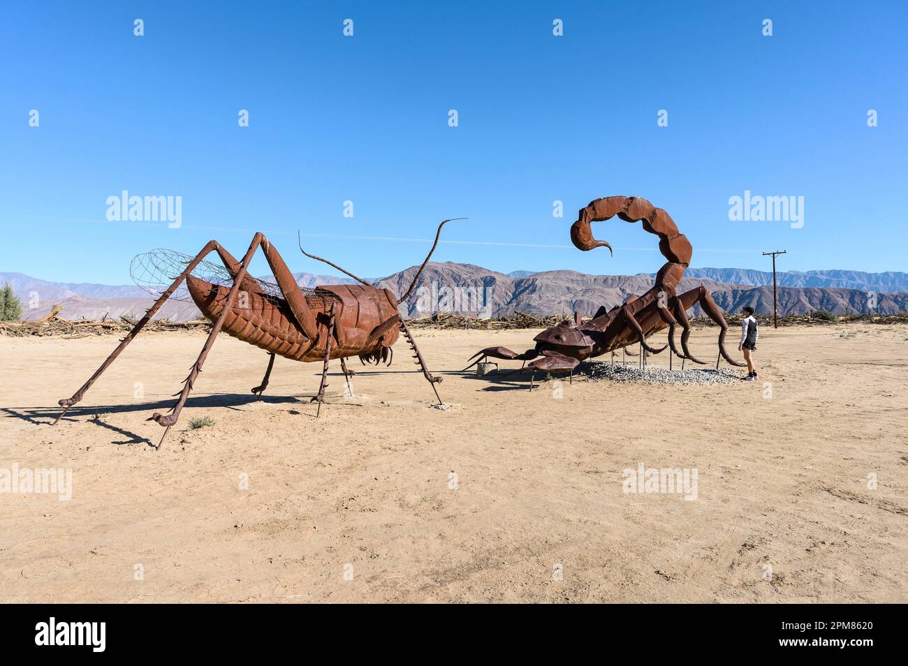 United States, California, Greater Palm Springs region, Coachella ...