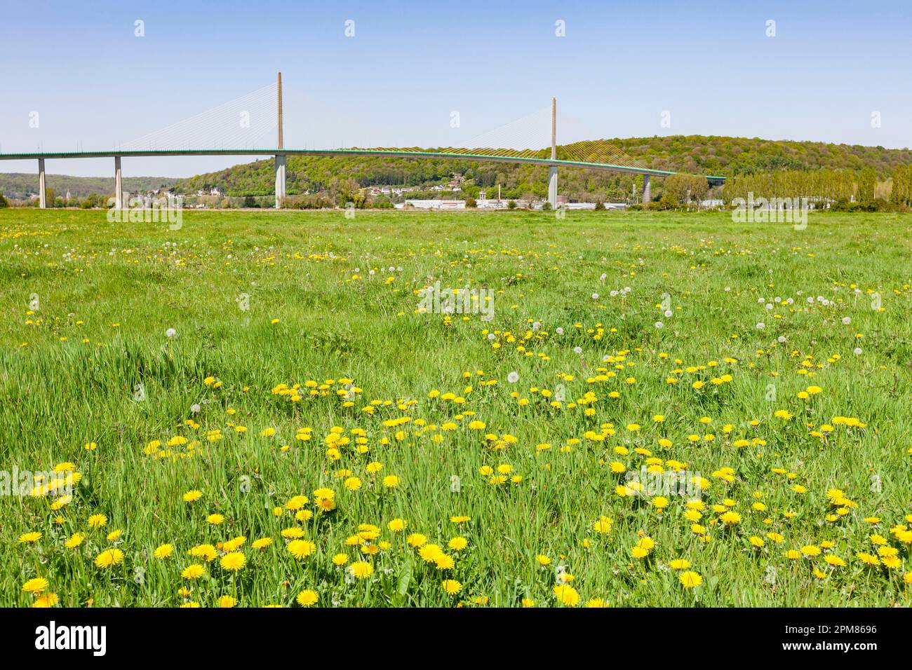 France, Seine Maritime, Saint-Nicolas-de-Bliquetuit, Brotonne bridge ...