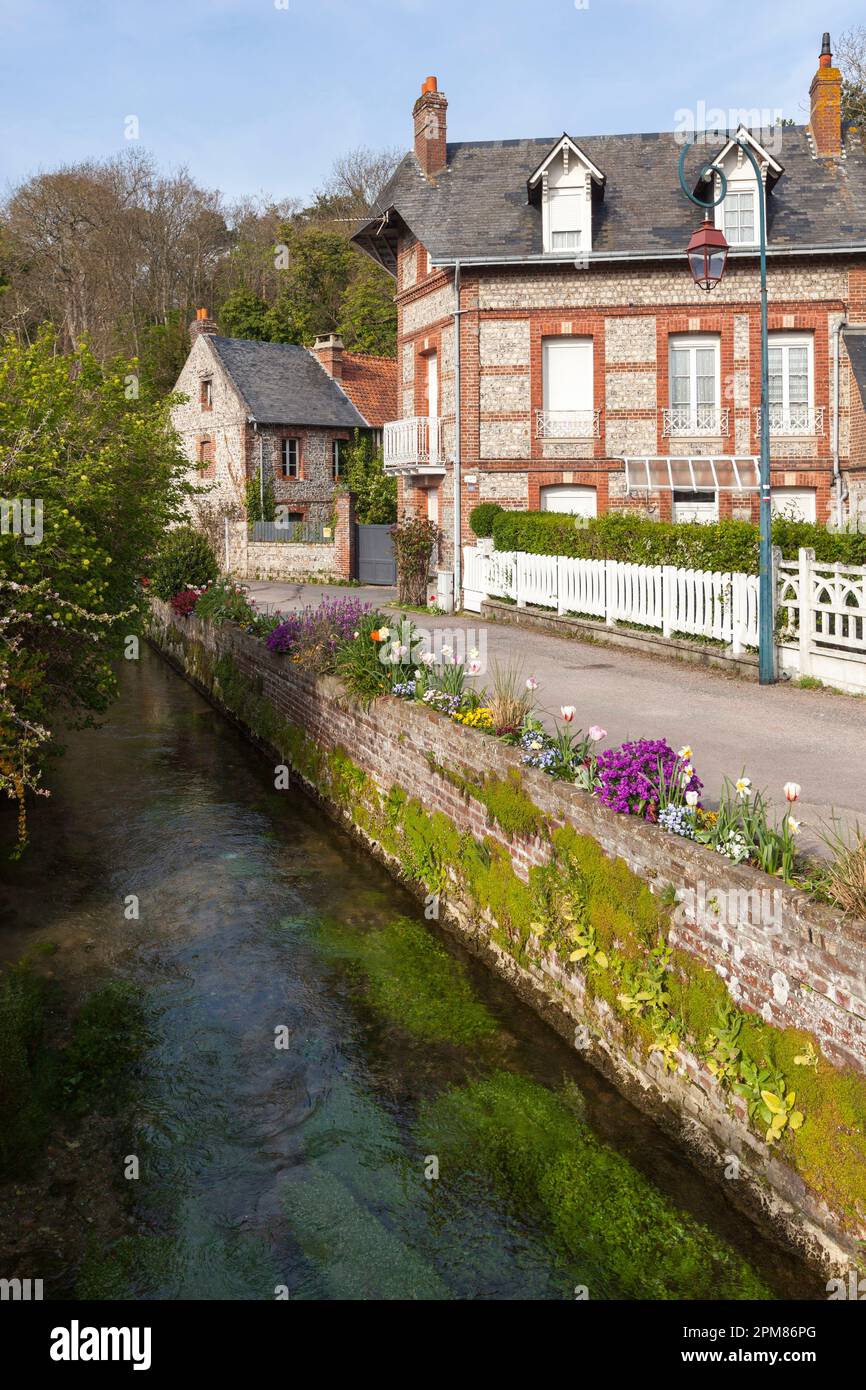 France, Seine-Maritime, Veules-les-Roses, walk on the Chemin des Champs ...