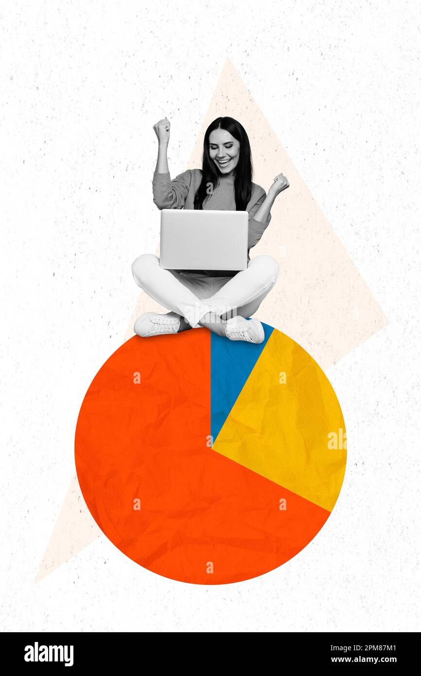 Collage of digital technologies investor analysis diagram excel ...