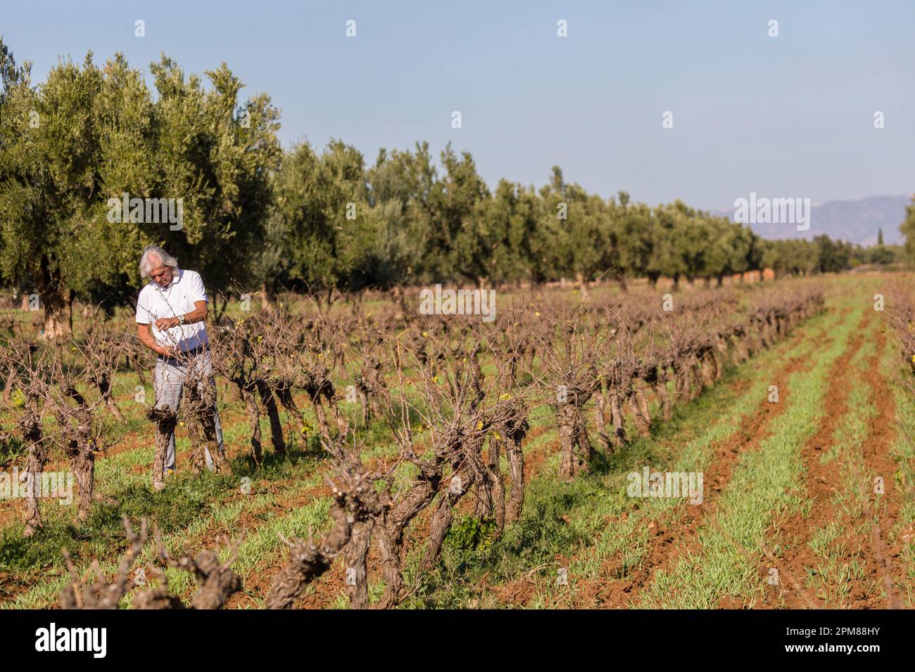 Morocco, Marrakech Safi region, Ounara, Domaine du Val d'Argan, Charles ...