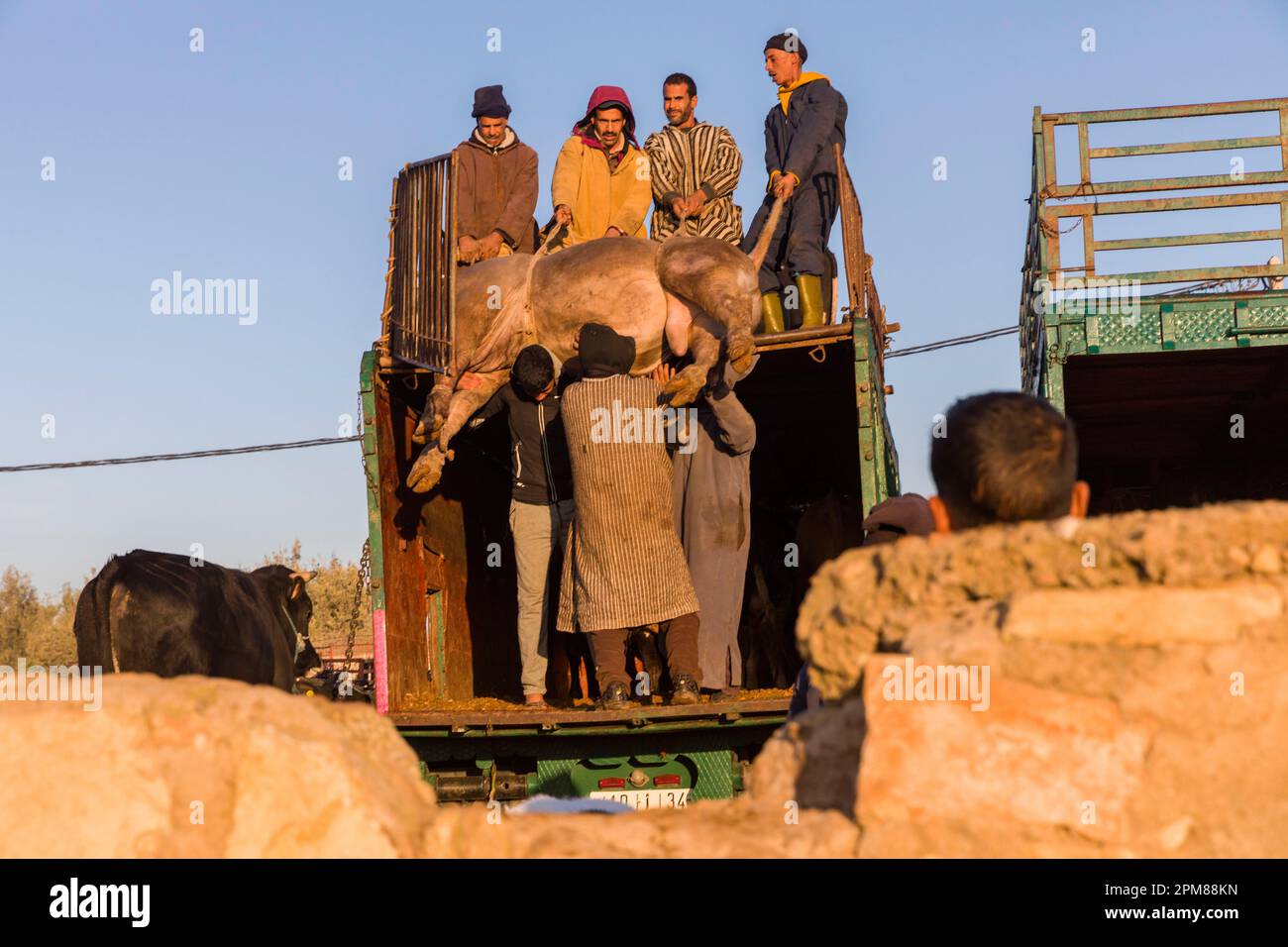Morocco, High Atlas, Marrakech Safi region, Had-Drâa, the Had-Drâ ...