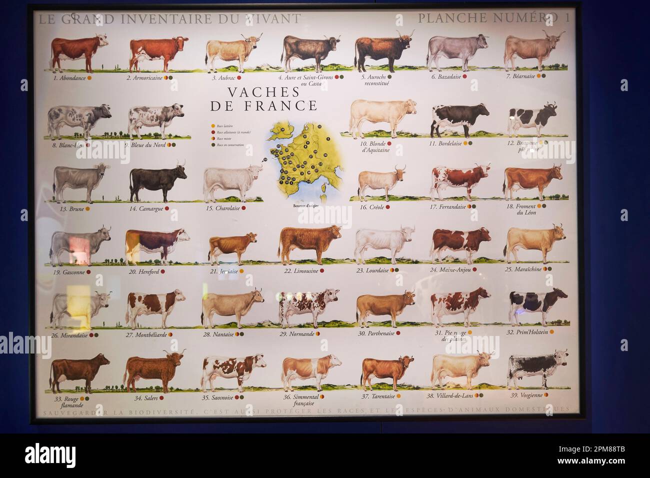 France, Mayenne, Laval, la Cite du Lait (The City of Milk), Large ...