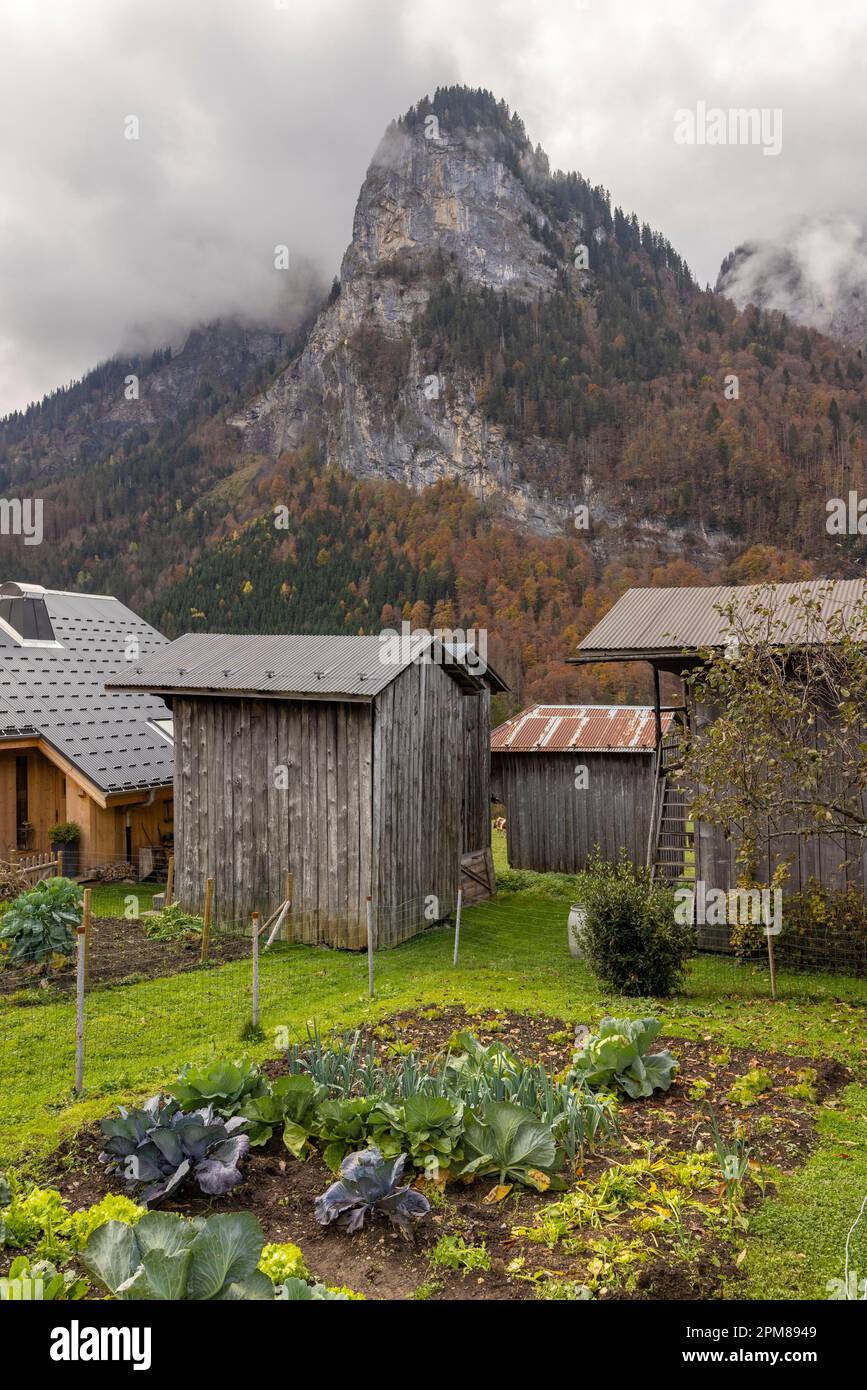 France, Haute-Savoie, Giffre valley, Sixt-Fer-à-Cheval, labeled The ...