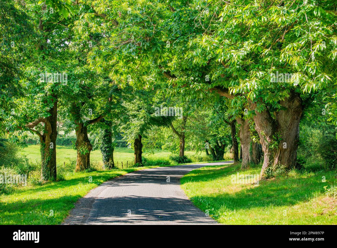 La verrie hi-res stock photography and images - Alamy