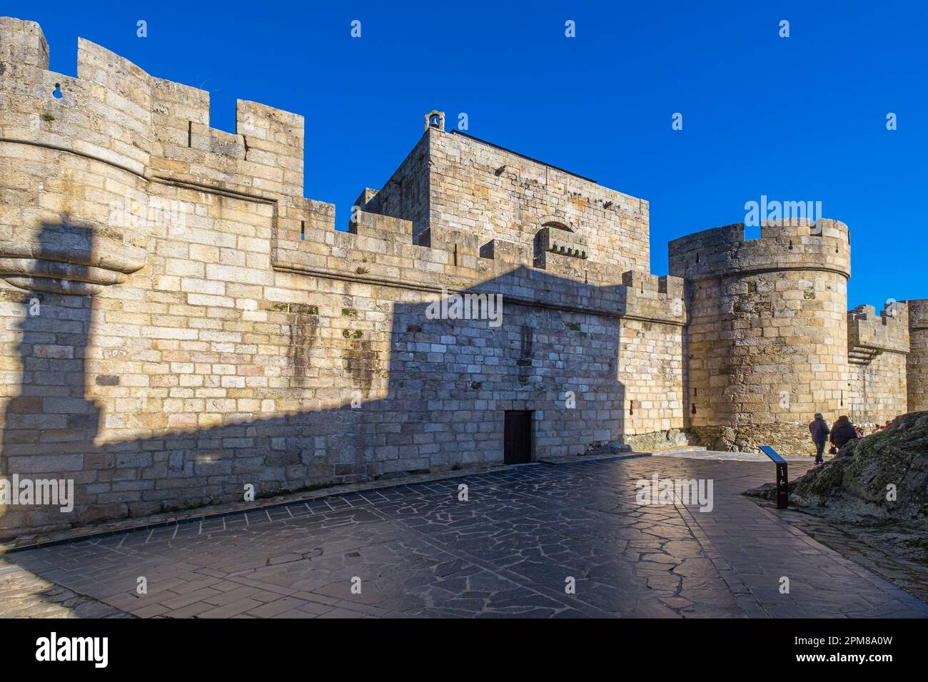 León de plata hi-res stock photography and images - Alamy