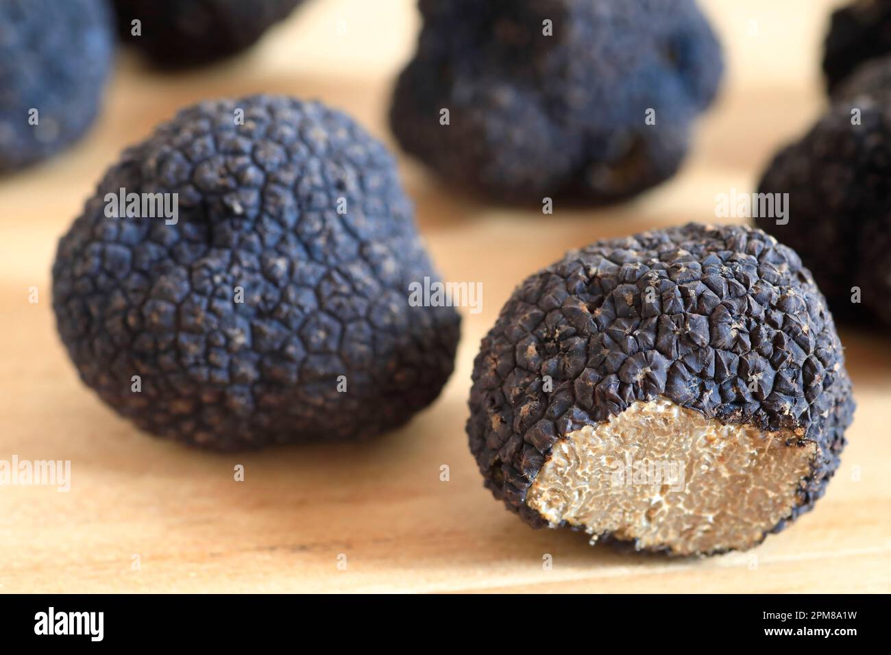 France, Aube, Champignol lez Mondeville, local autumn truffles ...