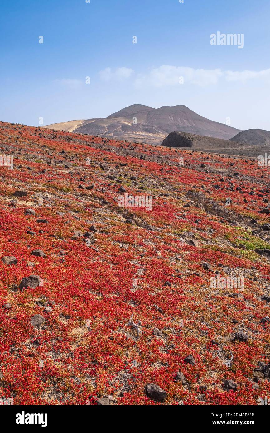 Spain, Canary Islands, Fuerteventura, Jandia Natural Park, Punta ...