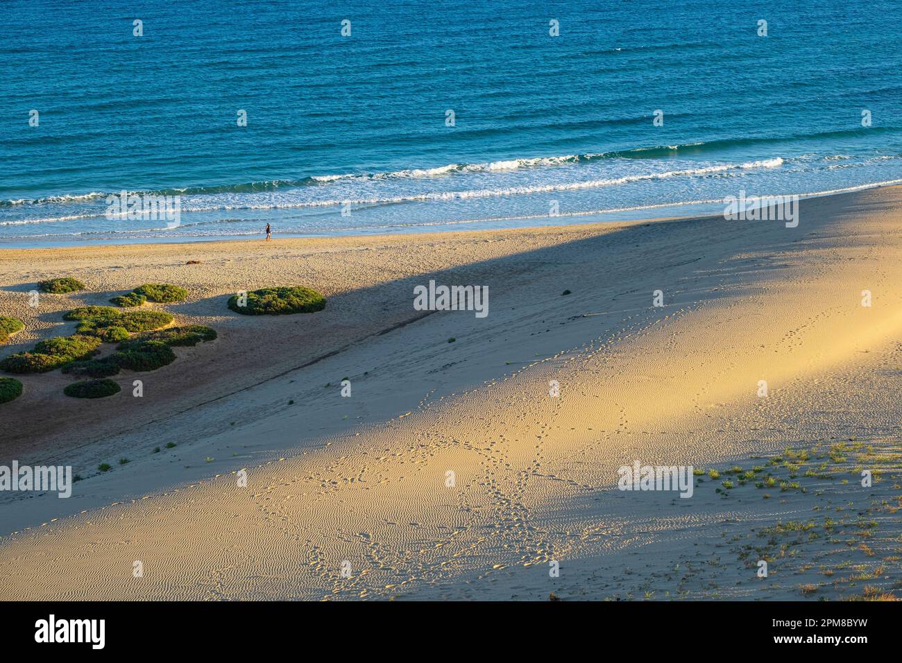 Spain, Canary Islands, Fuerteventura, municipality of Pajara, the dunes ...