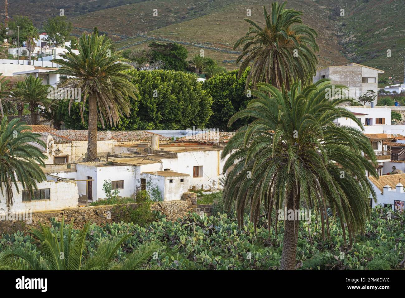 Spain, Canary Islands, Fuerteventura, Betancuria, small town founded in ...
