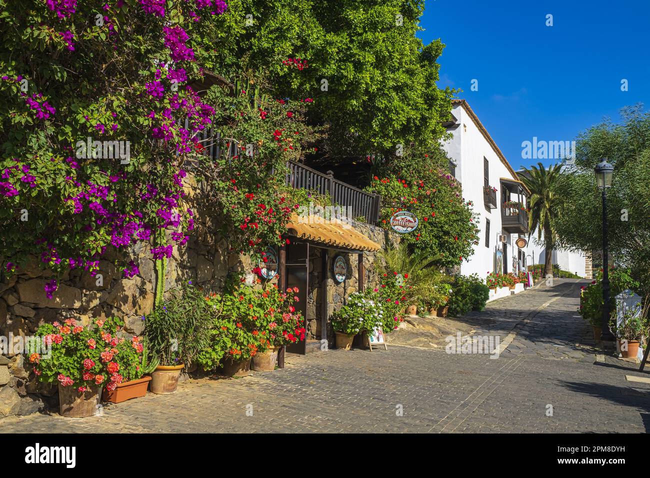 Spain, Canary Islands, Fuerteventura, Betancuria, small town founded in ...