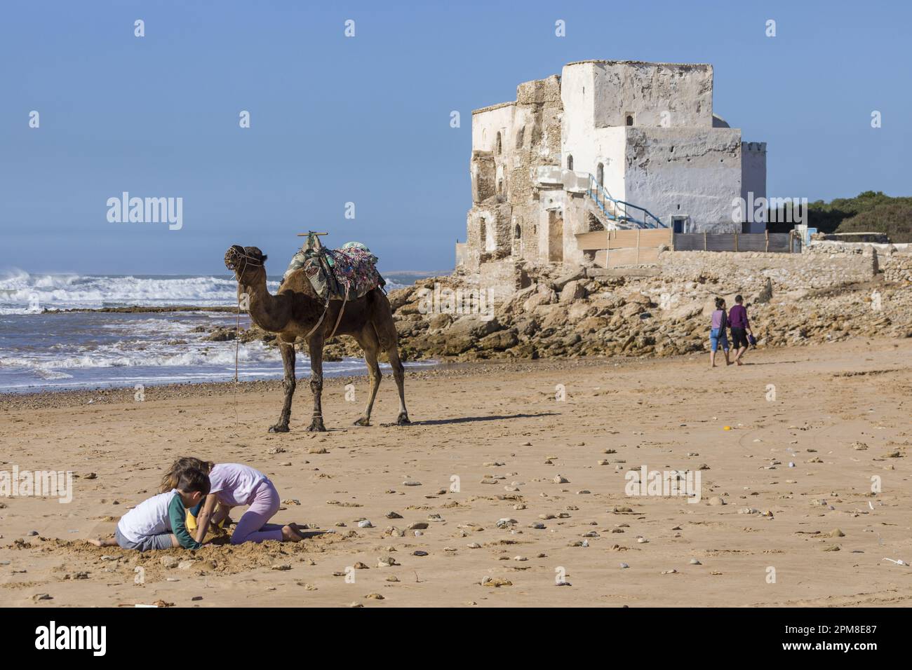 Morocco, Marrakech Safi region, Sidi Kaouki, the huge beach of Sidi ...