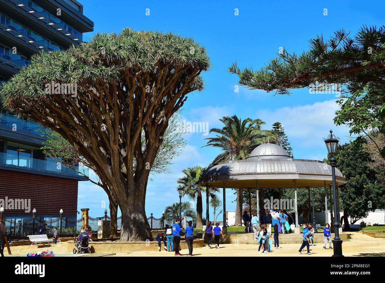 Parque genoves cadiz hi-res stock photography and images - Alamy