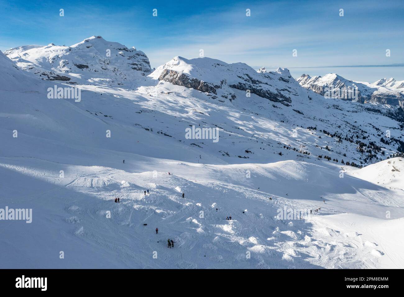 France, Haute Savoie, Flaine, training of avalanche dogs, the training ...
