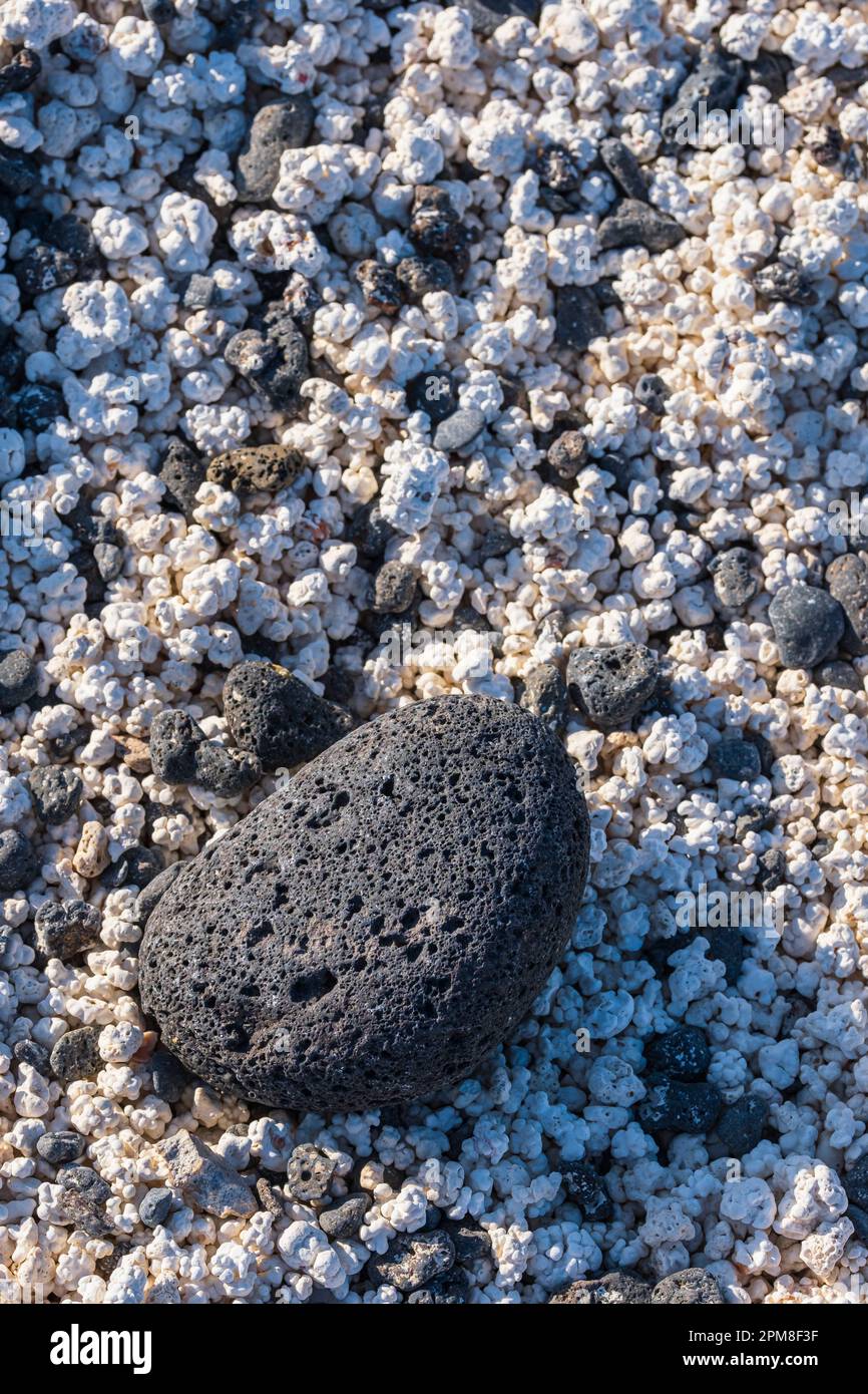 La burra hi-res stock photography and images - Alamy