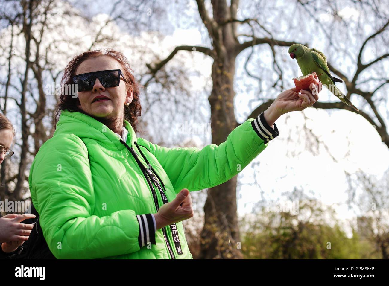 A member of the public feeds parakeets in a windy St James' Park, in ...