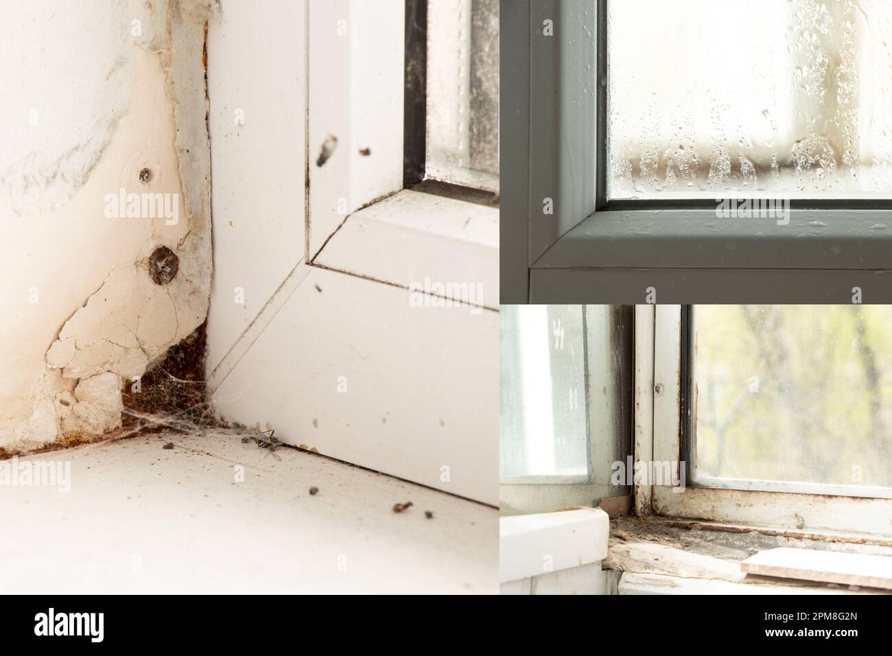 Different windows with moisture and mold and rust in apartments, repair ...