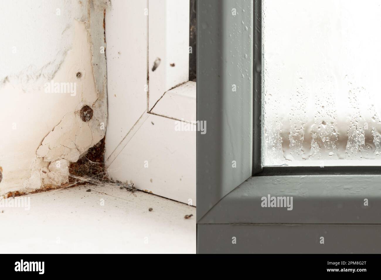 Different windows with moisture and mold and rust in apartments, repair ...