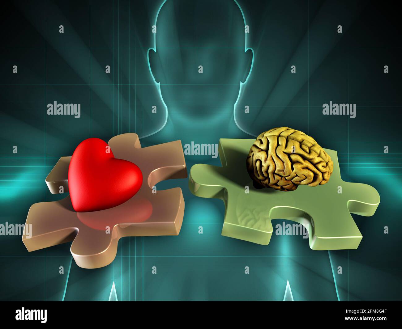 Human figure on background, with an heart and a brain on two matching ...