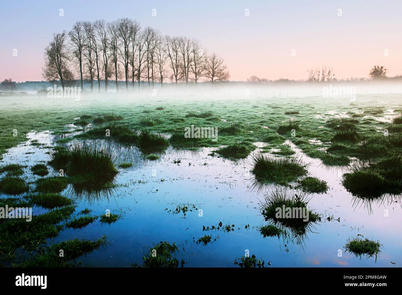 Landscape in the morning light at Molinet, Auvergne, France Stock Photo ...