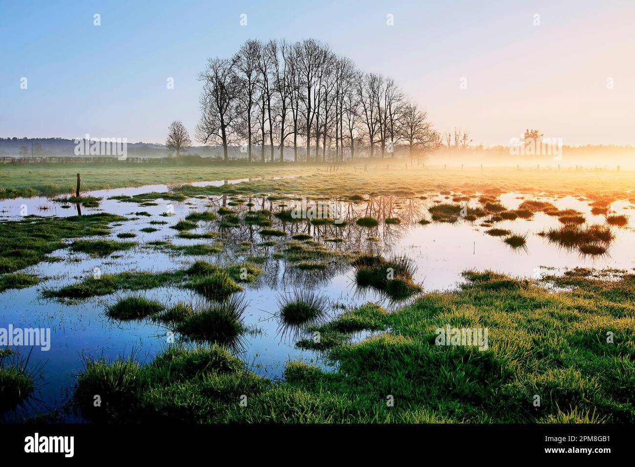 Landscape in the morning light at Molinet, Auvergne, France Stock Photo ...