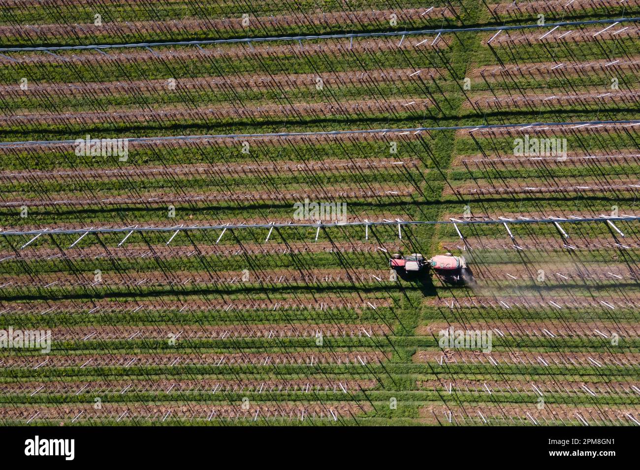 Dohna, Germany. 12th Apr, 2023. Silvio Stumpf, farmer, spreads ...