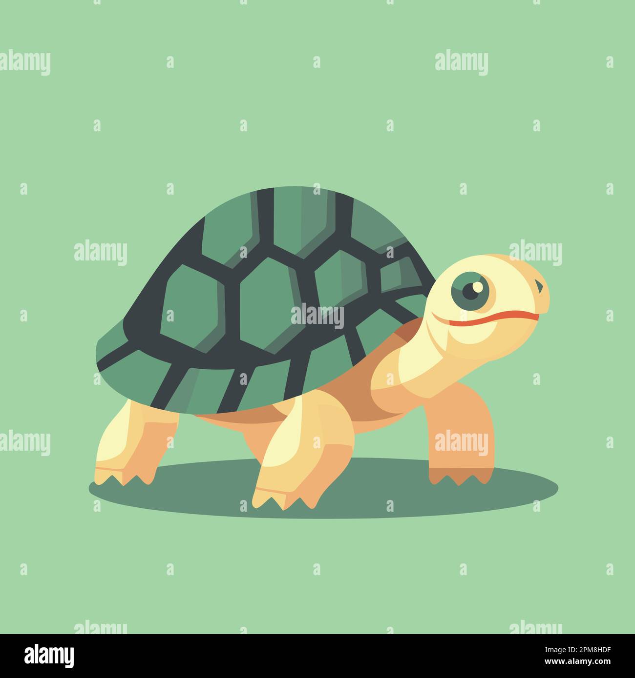 animal reptile turtle minimalistic vector illustration Stock Vector ...