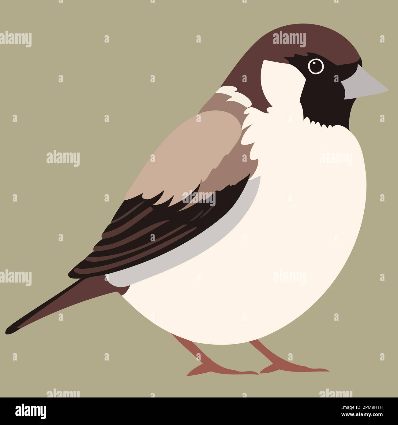 animal bird sparrow male minimalistic vector illustration Stock Vector ...