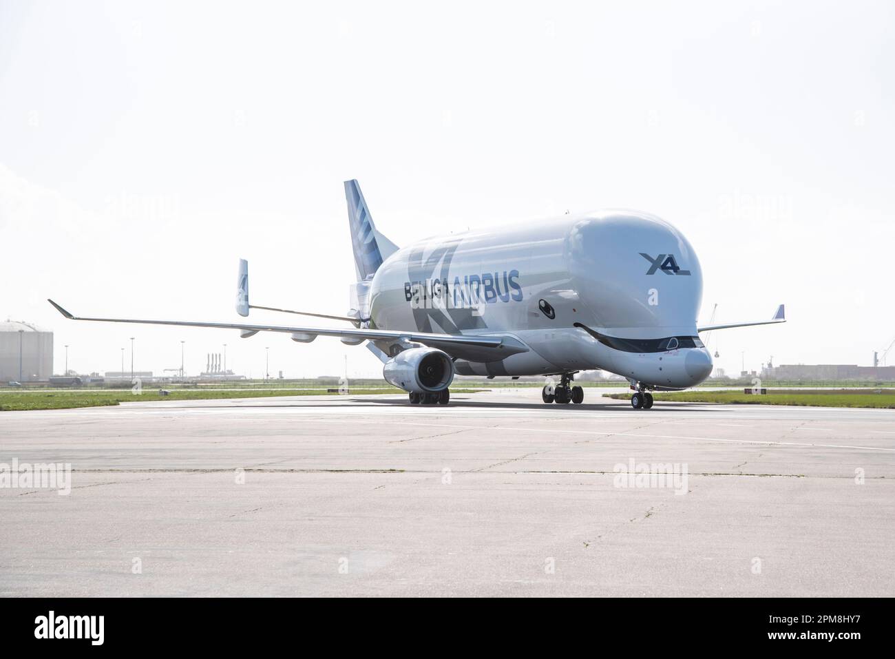 Beluga apron hi-res stock photography and images - Alamy
