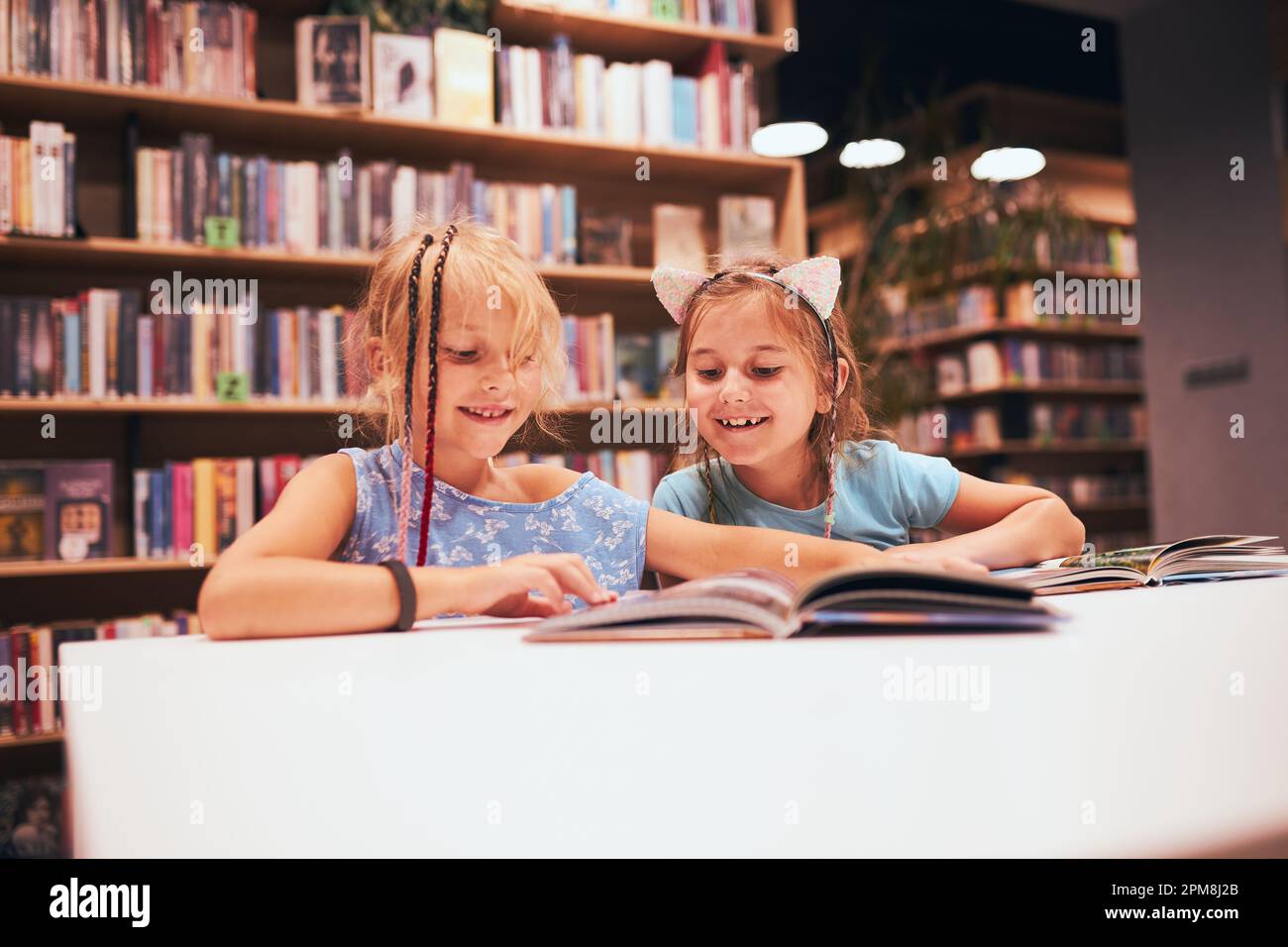 Two elementary schoolgirls doing homework in school library. Students ...