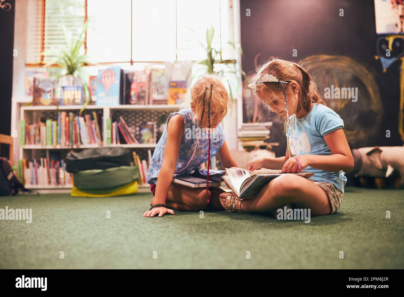 Two primary schoolgirls doing homework in school library. Students ...