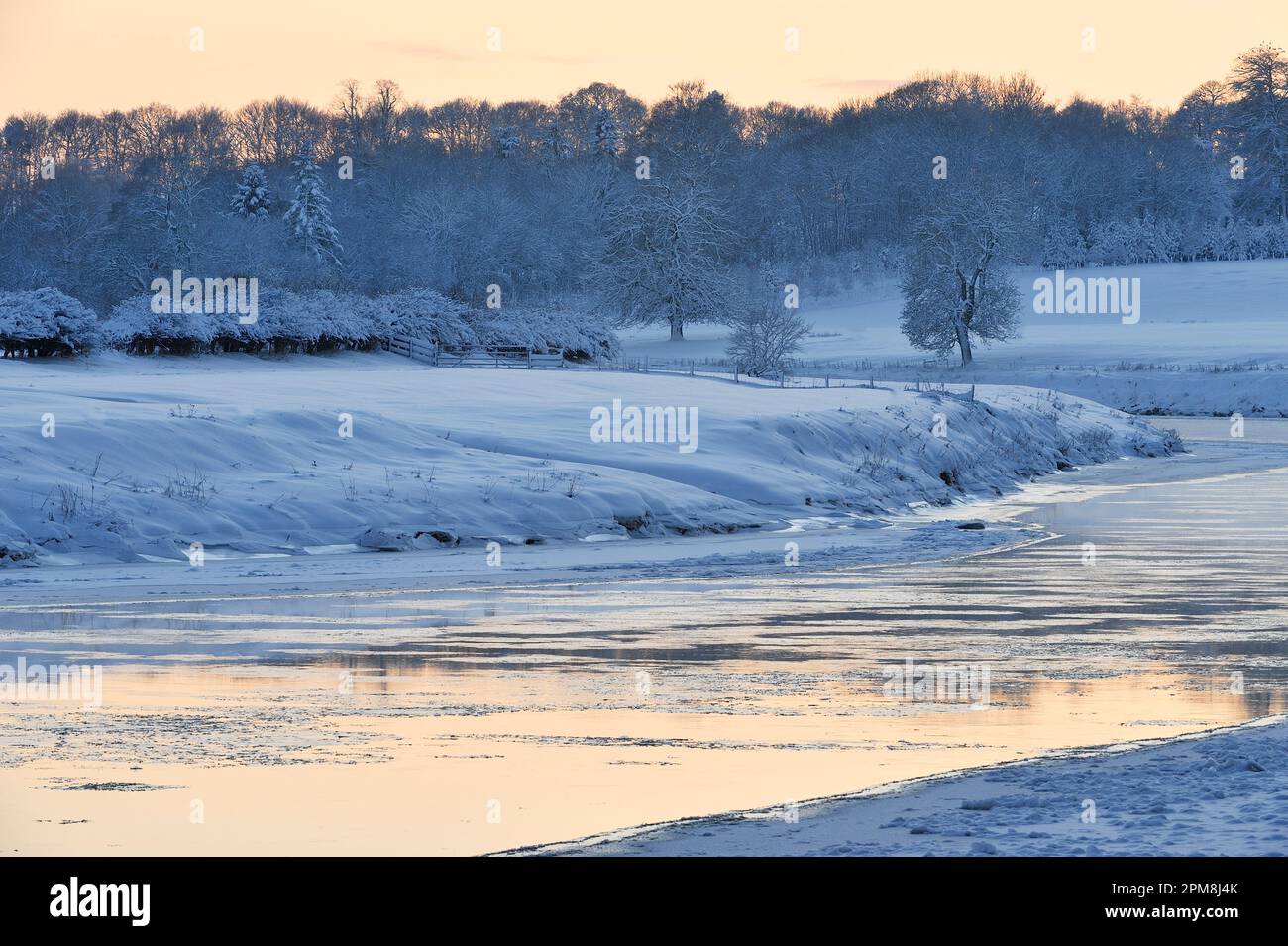 River Tweed upstrean of Paxton House Estate with ice floes in severe ...