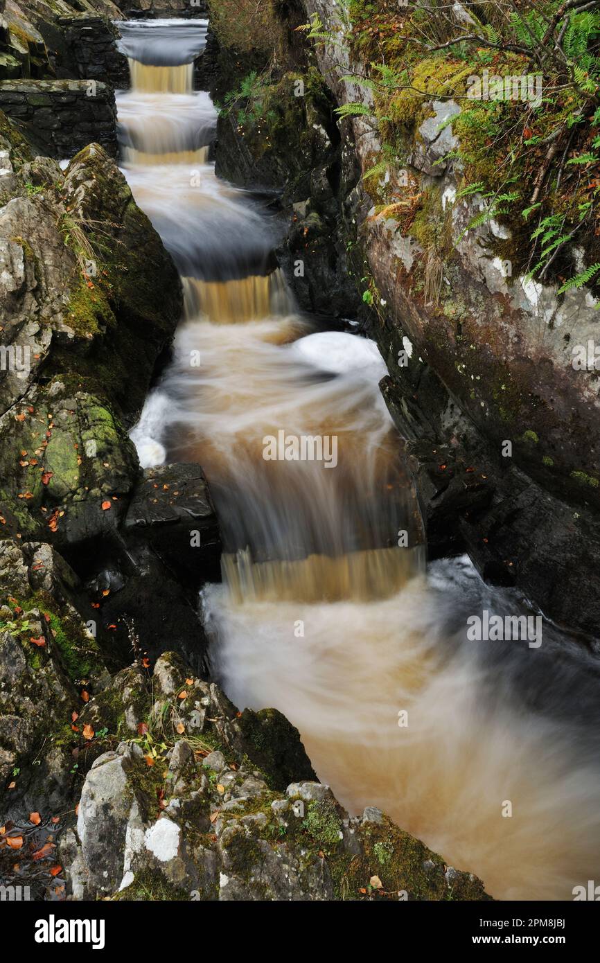 Salmon fish ladder hi-res stock photography and images - Alamy