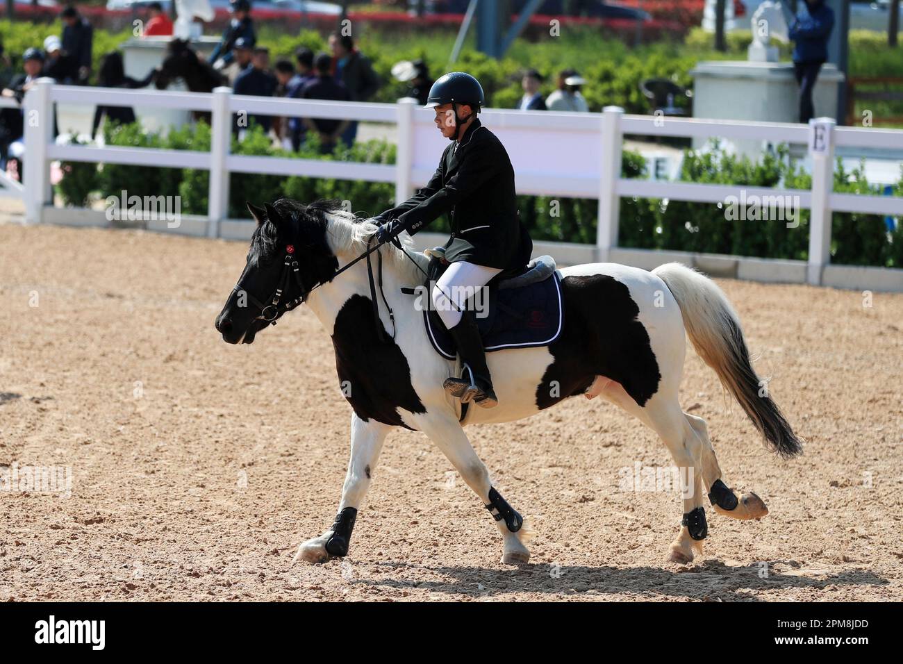 Equestrian riders participate in the grading assessment in Shanghai ...